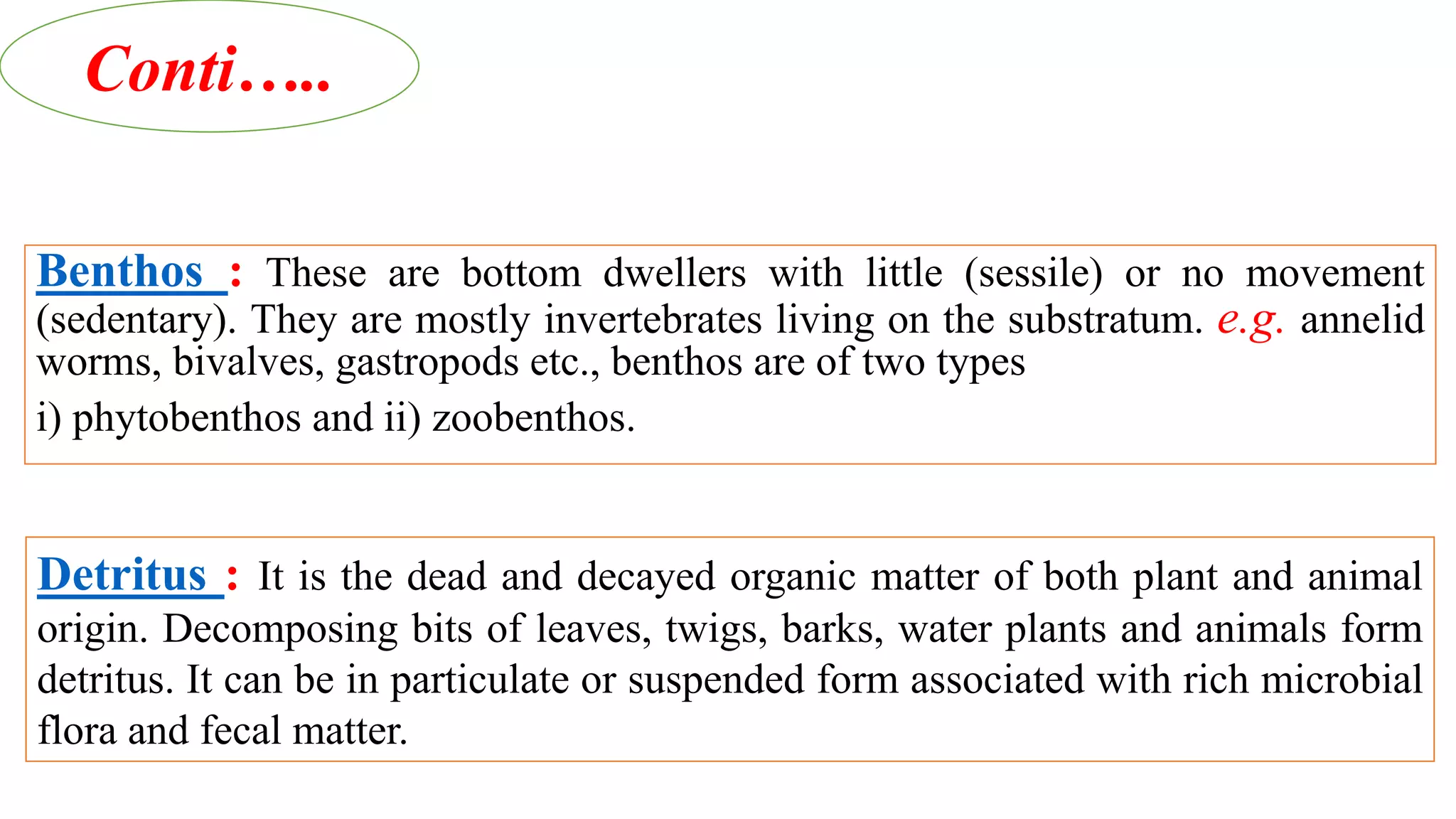 Food and feeding habits of larvae of finfishes ppt | PPTX