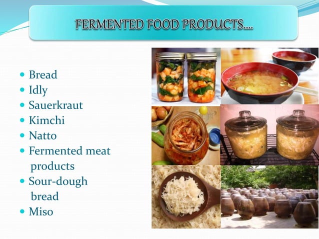 Food and fermented products | PPTX