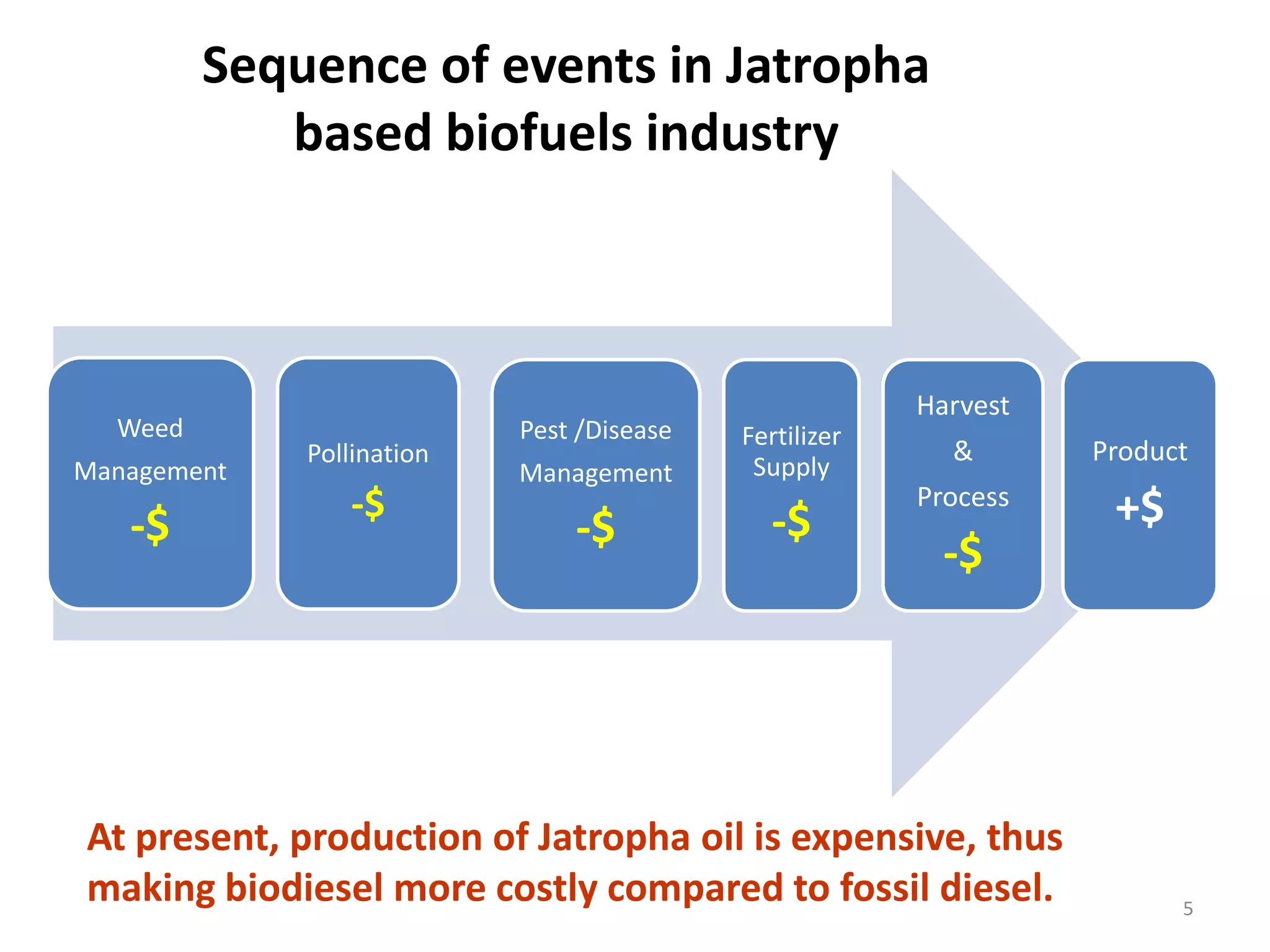 Implementing a Sustainable “ Food and Fuel ” System in Jatropha Plantation Management | PDF