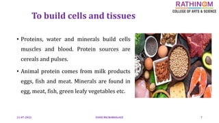 Food and Importance of Food (1).pptx