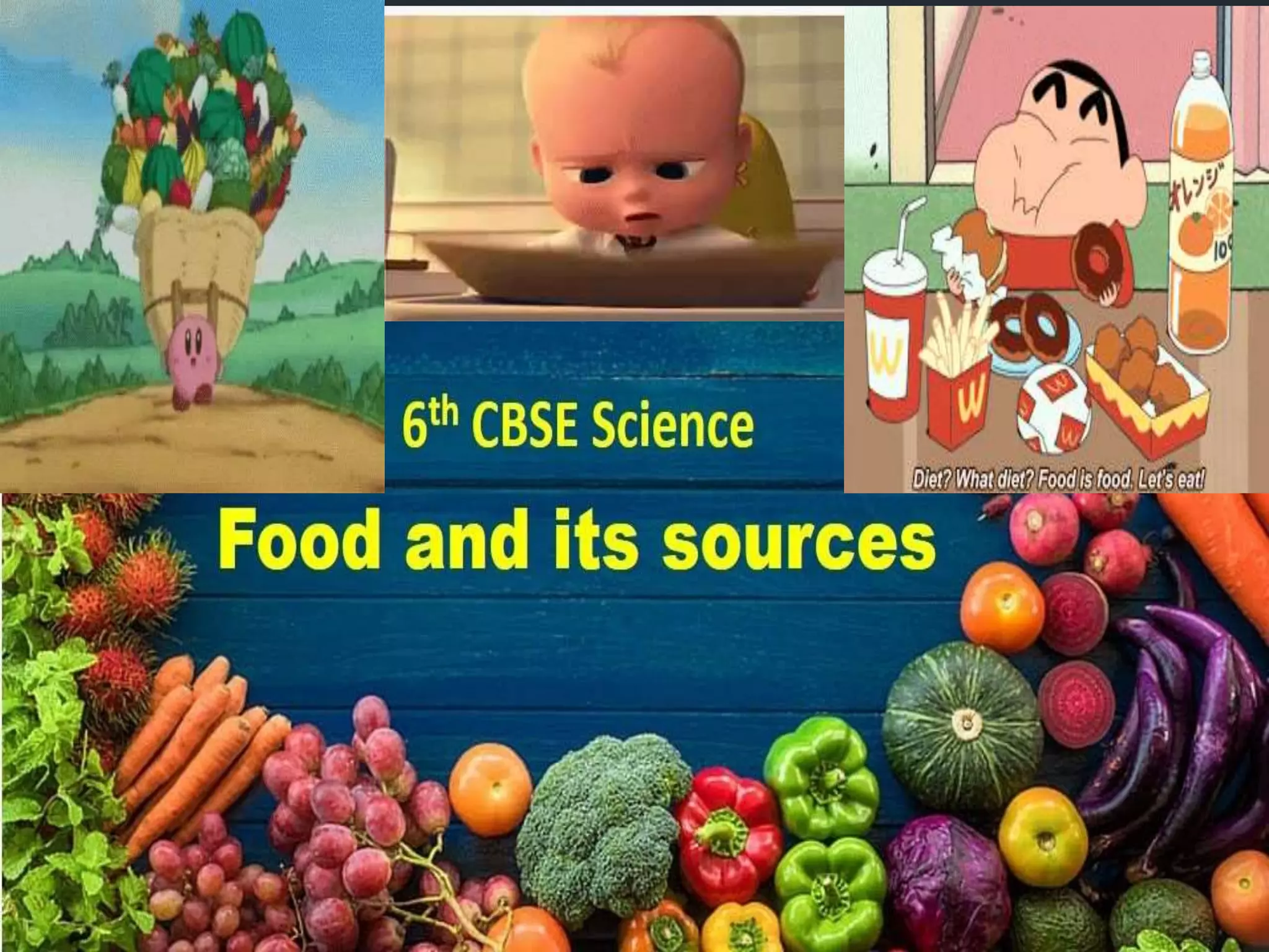 FOOD AND ITS SOURCES | PPT
