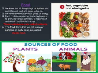 FOOD AND ITS SOURCES | PPTX