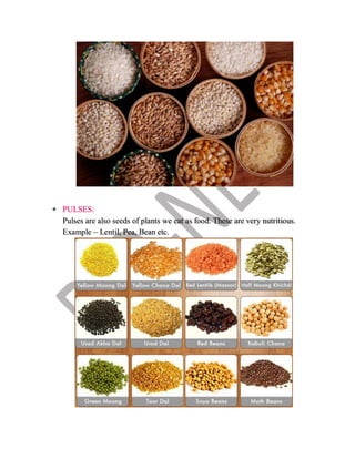 FOOD AND IT'S SOURCES.pdf