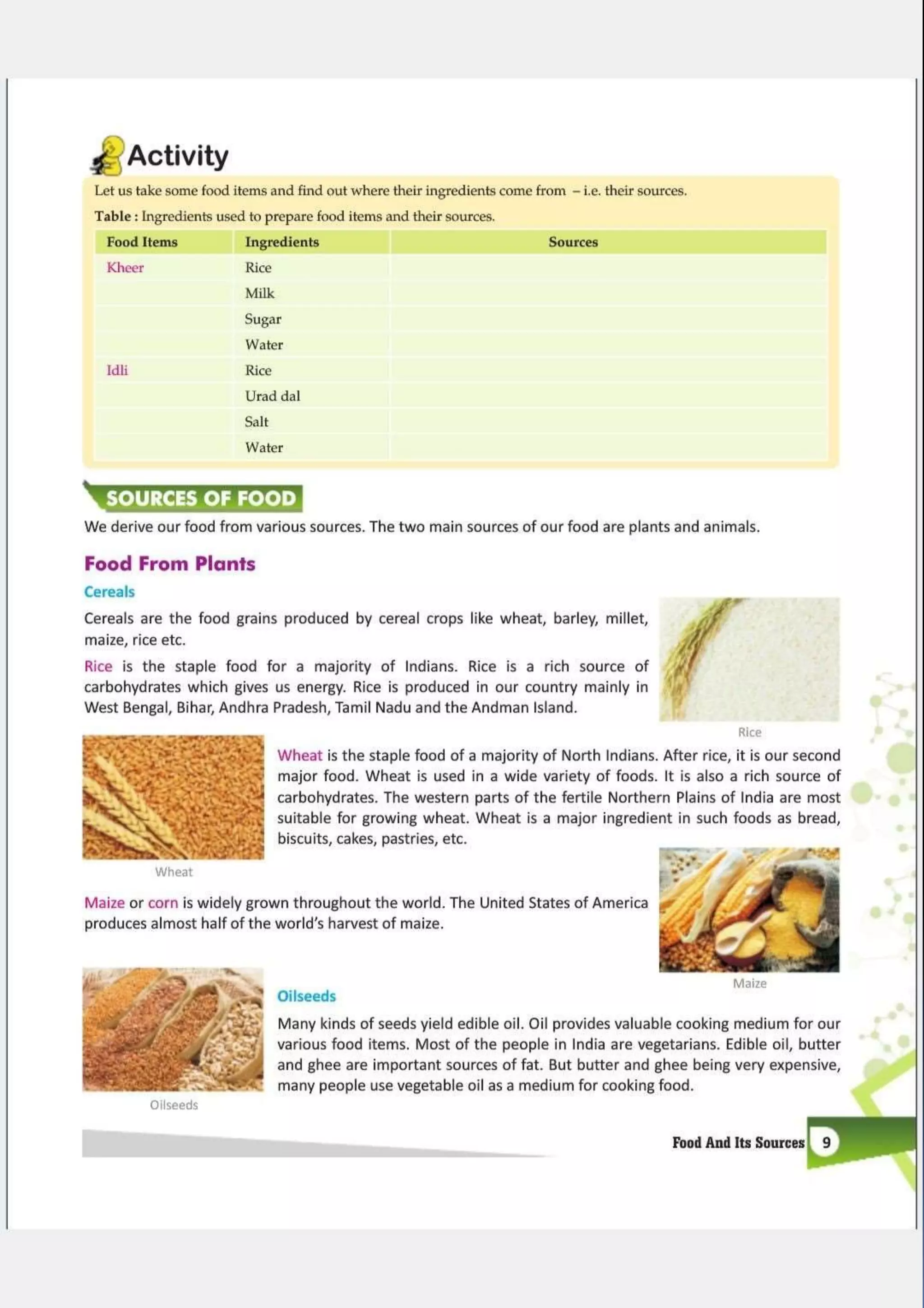 Food and its sourses CLASS 6 SCIENCE | PDF
