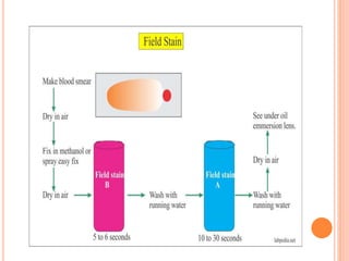 PARASITES STAINING METHODS | PPTX