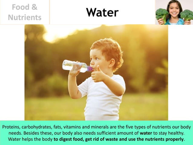 Food And Nutrients | PPTX