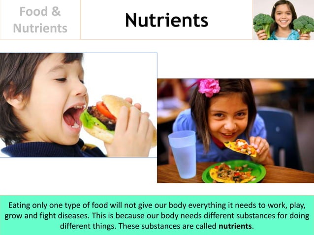 Food And Nutrients | PPTX