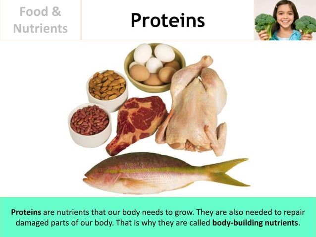 Food And Nutrients | PPTX