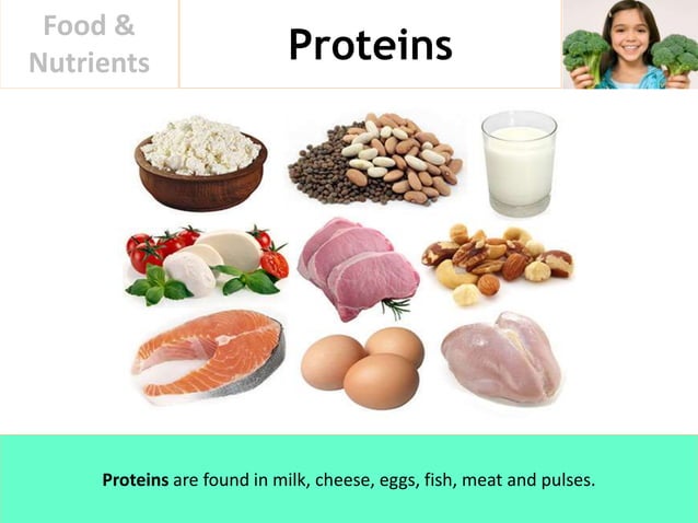 Food And Nutrients | PPTX