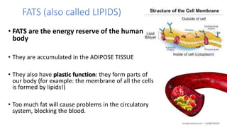 Food and nutrients | PPTX