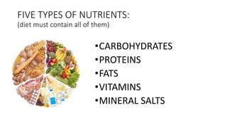Food and nutrients | PPT