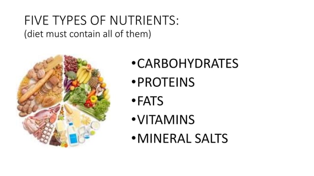 Food and nutrients | PPT | Free Download