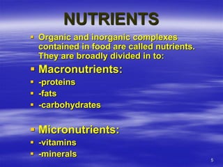 Food and nutrition | PDF