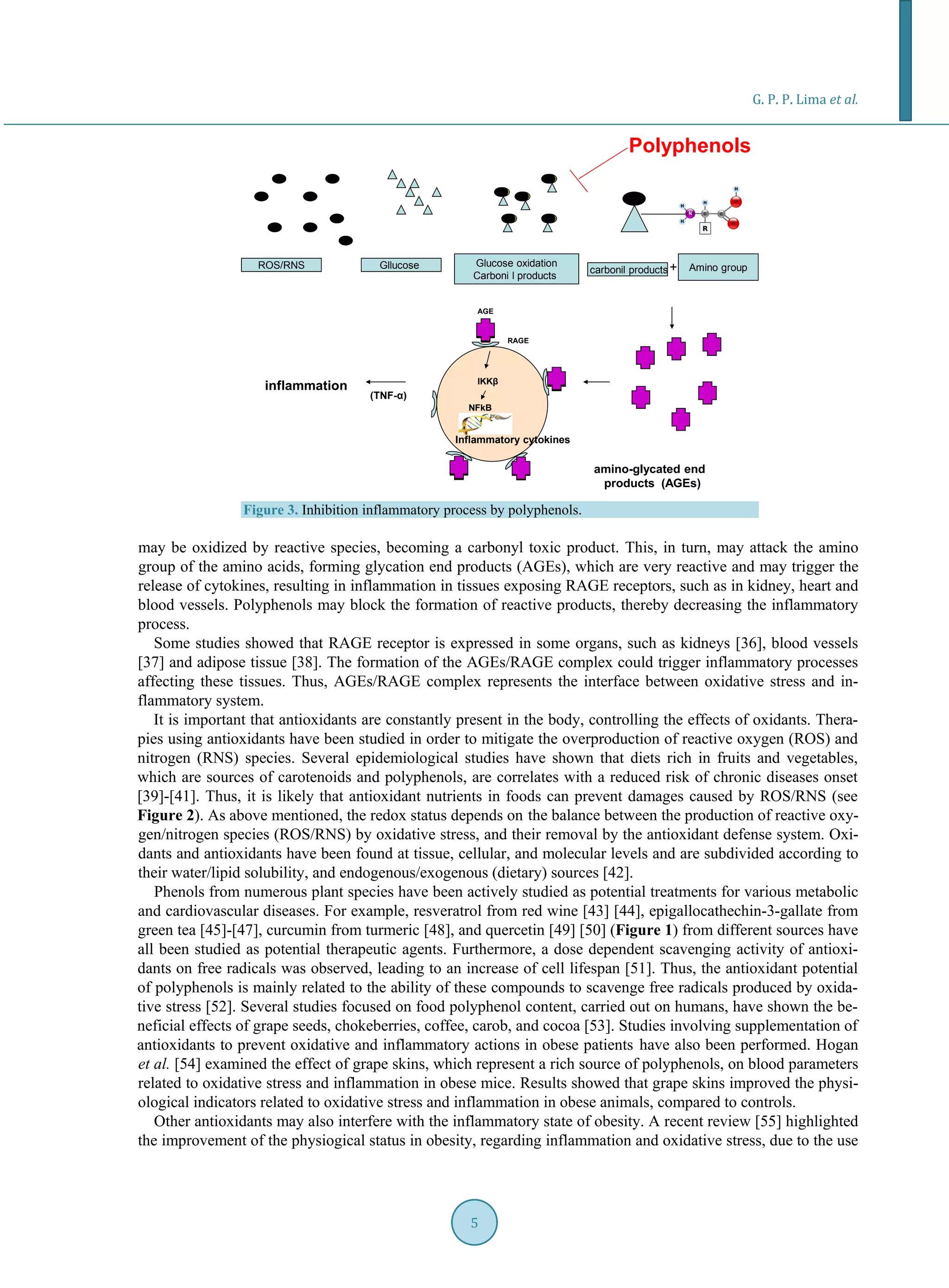 Polyphenols in fruits and vegetables and its effect on human health | PDF