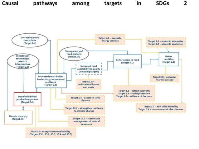 Food And Nutrition Security Dimensions Indicators And Framework Pptx