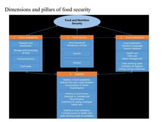 Food and Nutrition Security Dimensions, Indicators and Framework | PPTX