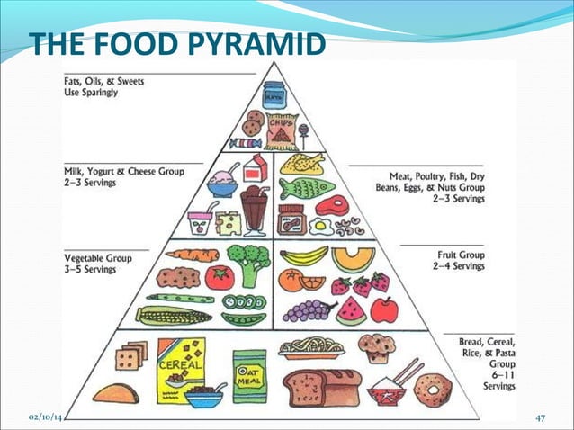 Food and nutrition General Concept | PPT | Nutrition | Healthy Living