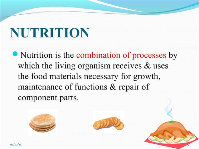Food and nutrition General Concept | PPT | Nutrition | Healthy Living