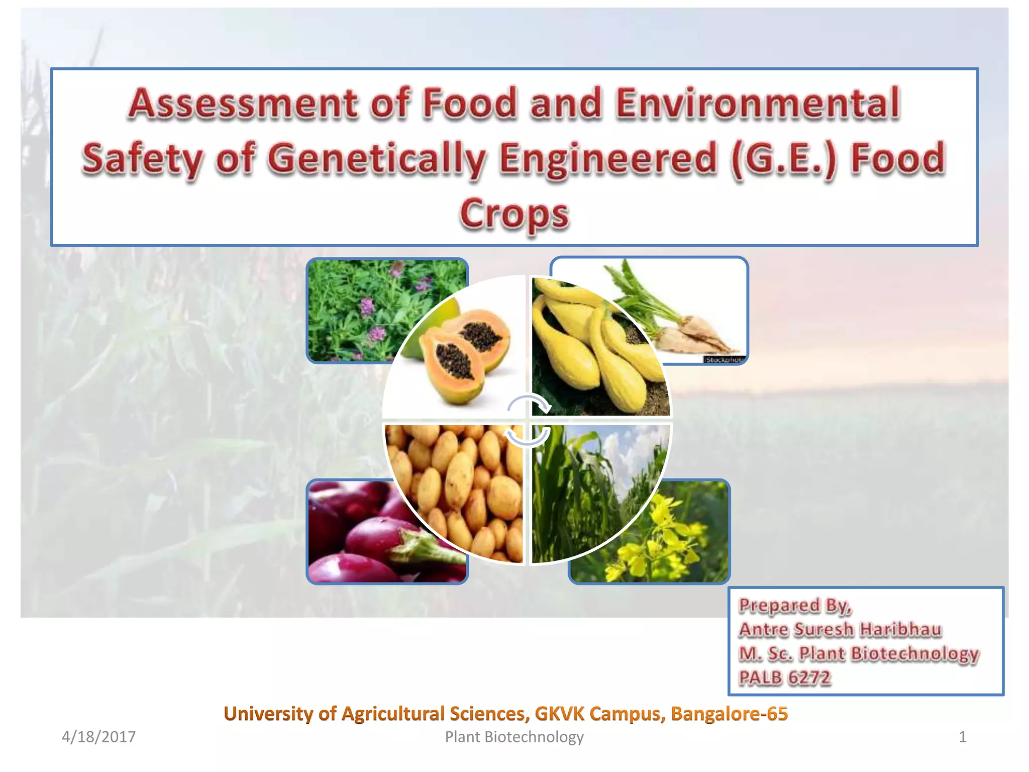 Assesment Food and Environmental Saftey of Genetically Engineered (GE ...