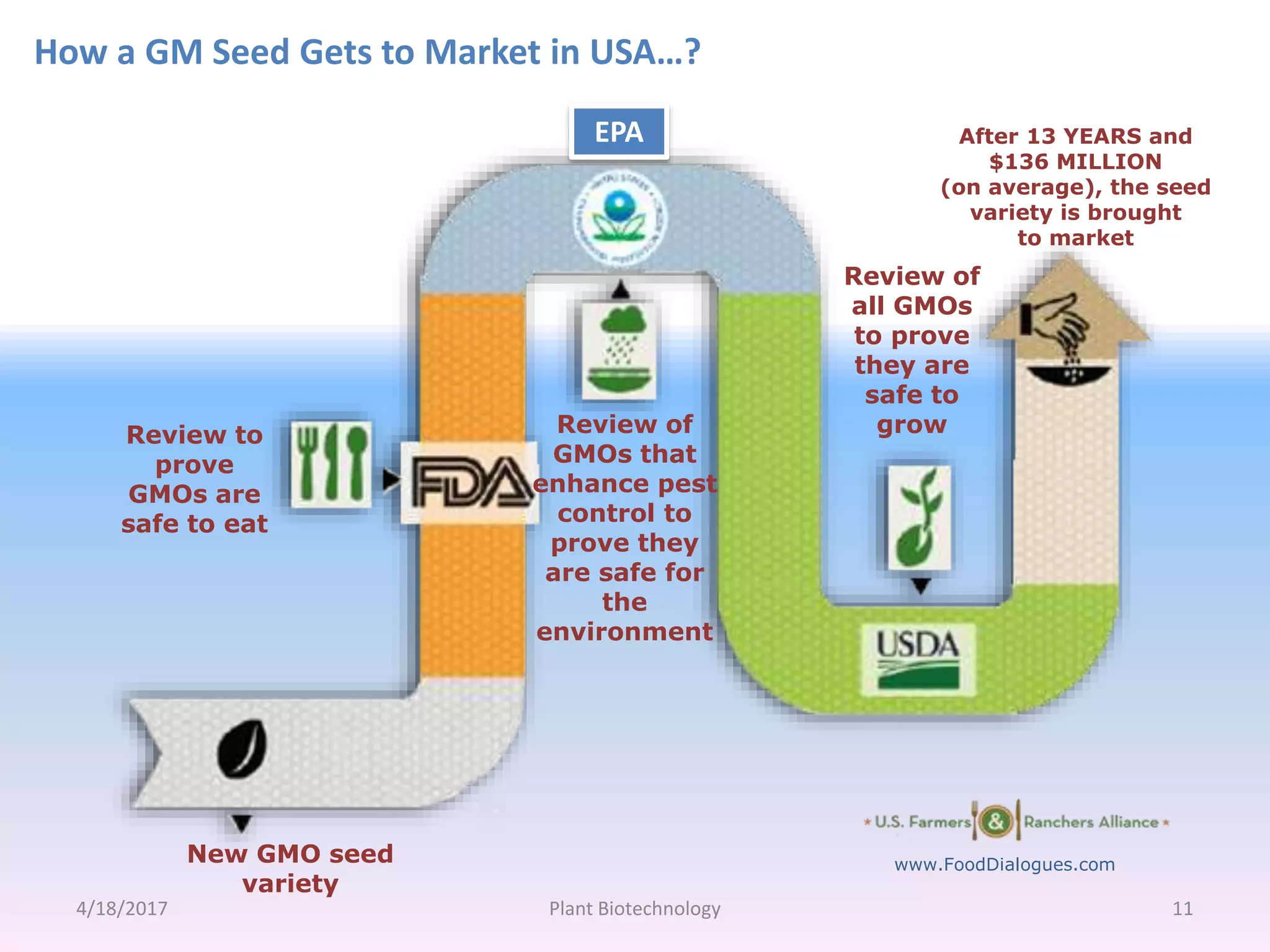 Assesment Food and Environmental Saftey of Genetically Engineered (GE) Food Crops | PPTX