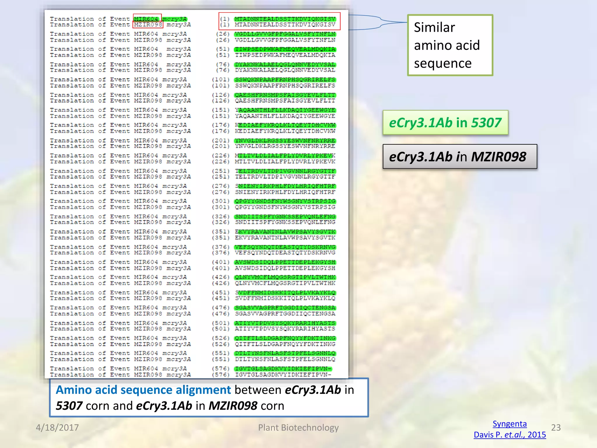 Assesment Food and Environmental Saftey of Genetically Engineered (GE ...