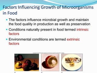 Food as a substrate for microbial growth | PPTX