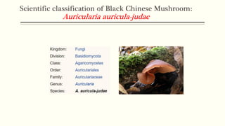 Food as medicine: black chinese fungus | PDF
