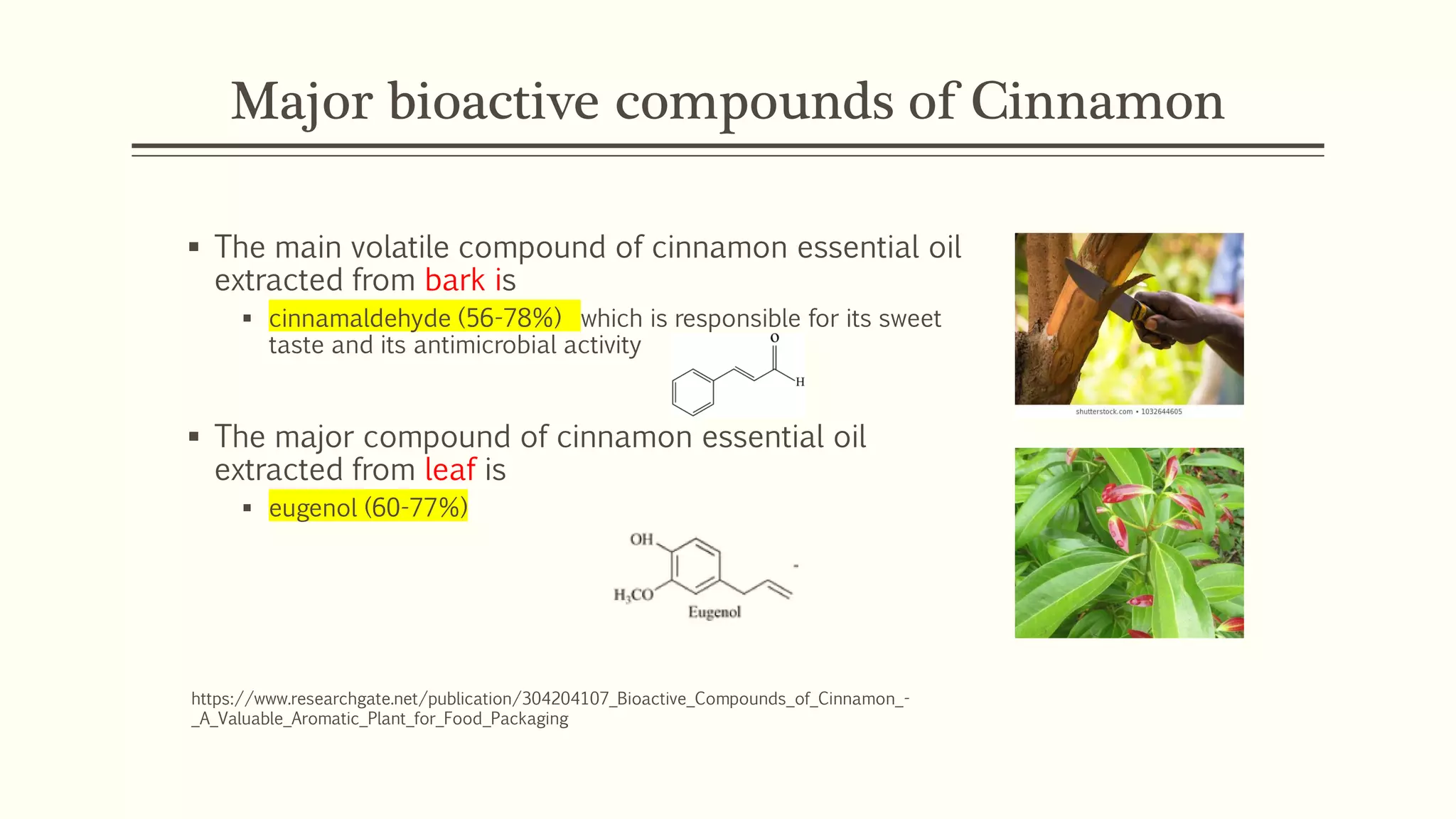 Spice as medicine: cinnamon | PDF