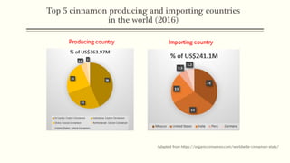 Spice as medicine: cinnamon | PDF