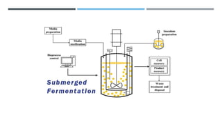 Food as substrate for microorganism | PPTX