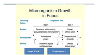 Food as substrate for microorganism | PPTX