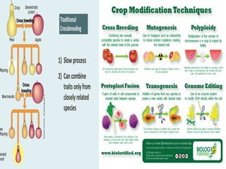 Food biotechnology | PPTX