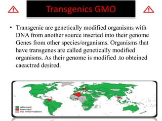 Food biotechnology | PPTX