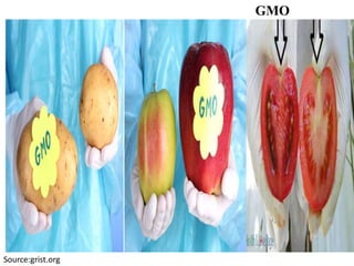 Food biotechnology | PPTX
