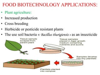 Applications Of Biotechnology In Food Processing
