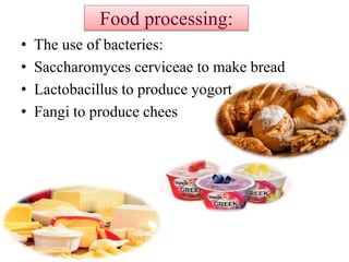 Biotechnology In Food Processing