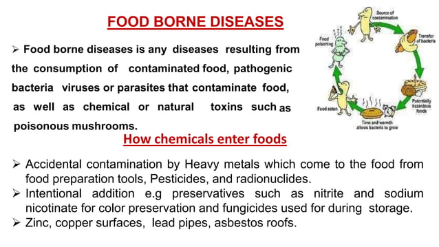 Food born disease | PDF | Infectious Diseases | Diseases and Conditions