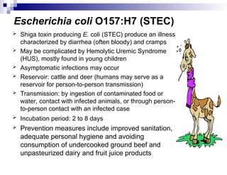 FOOD BORNE Disease and Food Safety-M.ppt