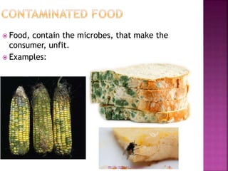 Food-borne diseases | PPTX
