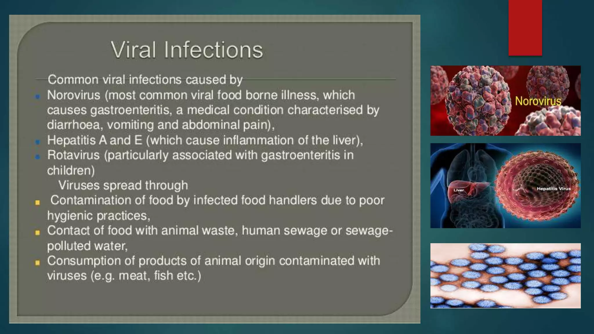 FOOD BORNE DISEASES (PPT).pptx