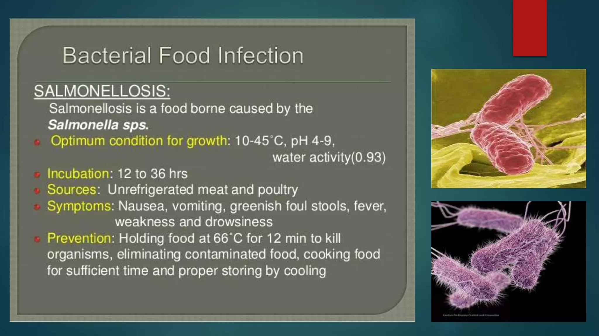 FOOD BORNE DISEASES (PPT).pptx