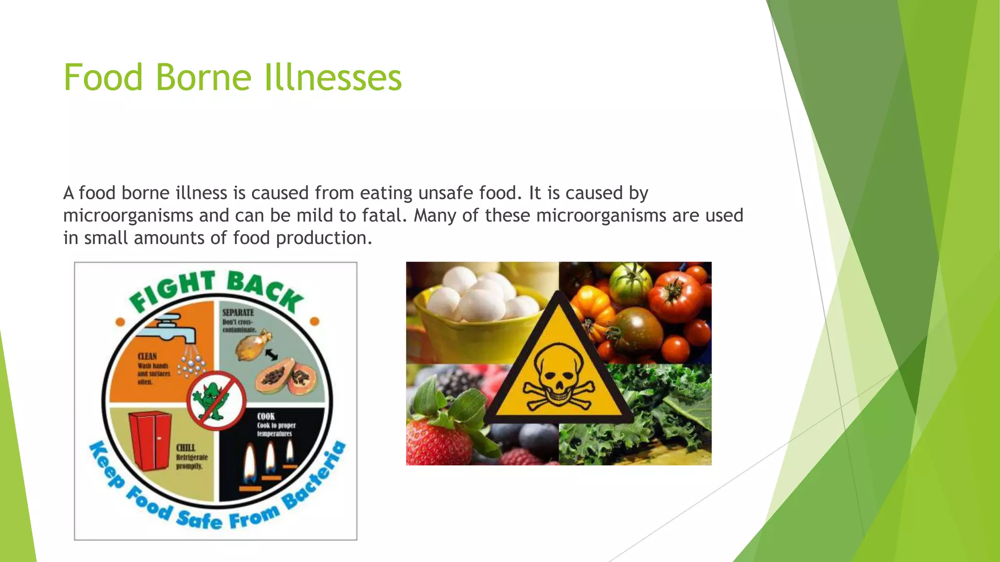 Food Borne Illnesses | PPT