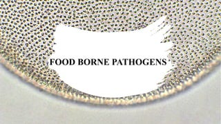 FOOD BORNE PATHOGENS unexplored area of microbiology | PPTX