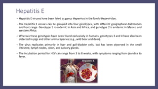 Food borne Viral Pathogens harmful to human | PPTX