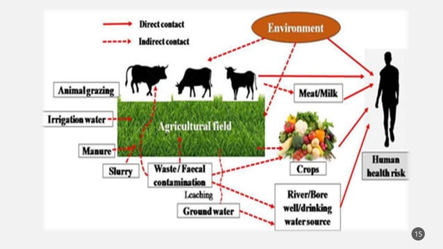 Food borne zoonotic diseases (1) (1).pptx