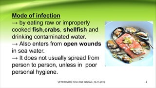 Food born infection by vibrio parahaemolyticus | PDF