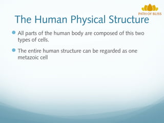 Food, cells, physical and mental development | PPT