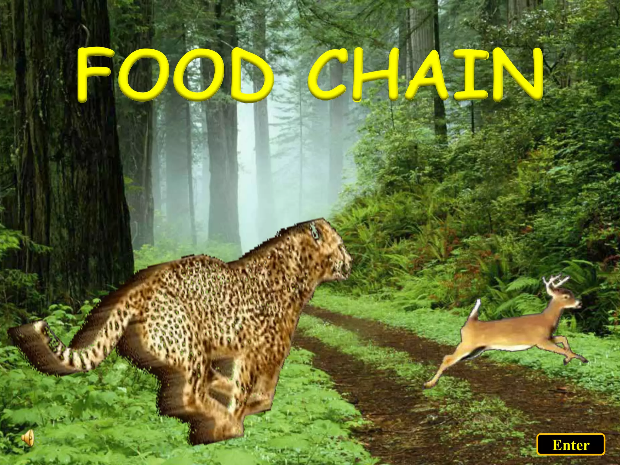 Food chain 1 | PPSX | Vegetarian Diets | Food & Drink