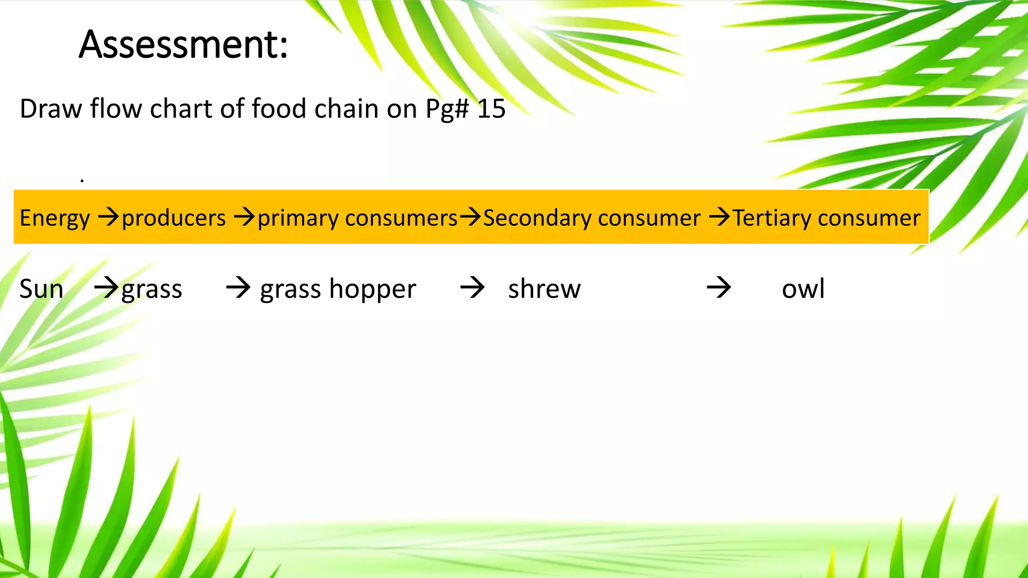 FoodChain-1.pptx