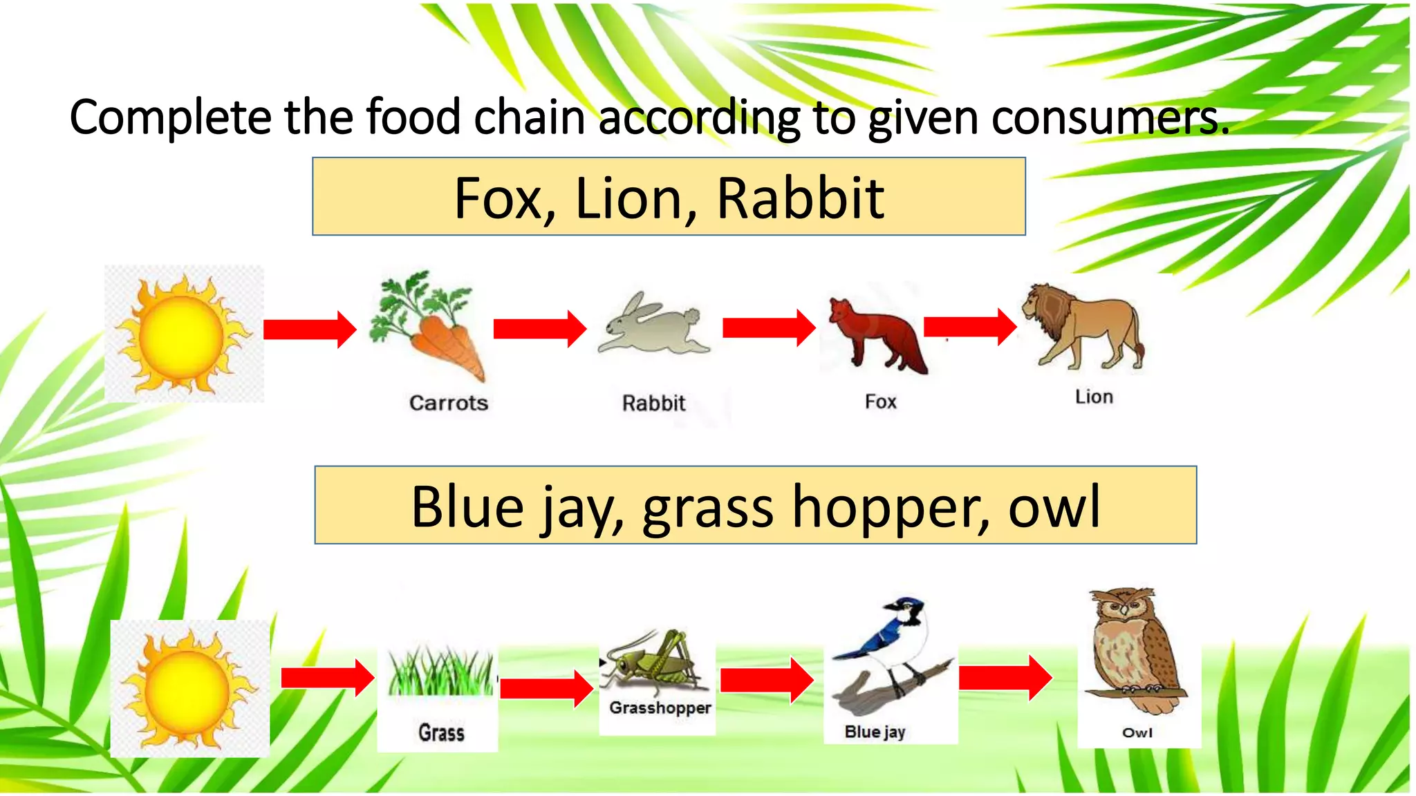 FoodChain-1.pptx